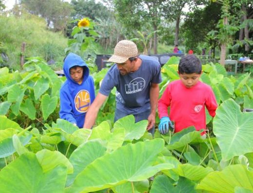 HIP Agriculture – Support Local Hawaii
